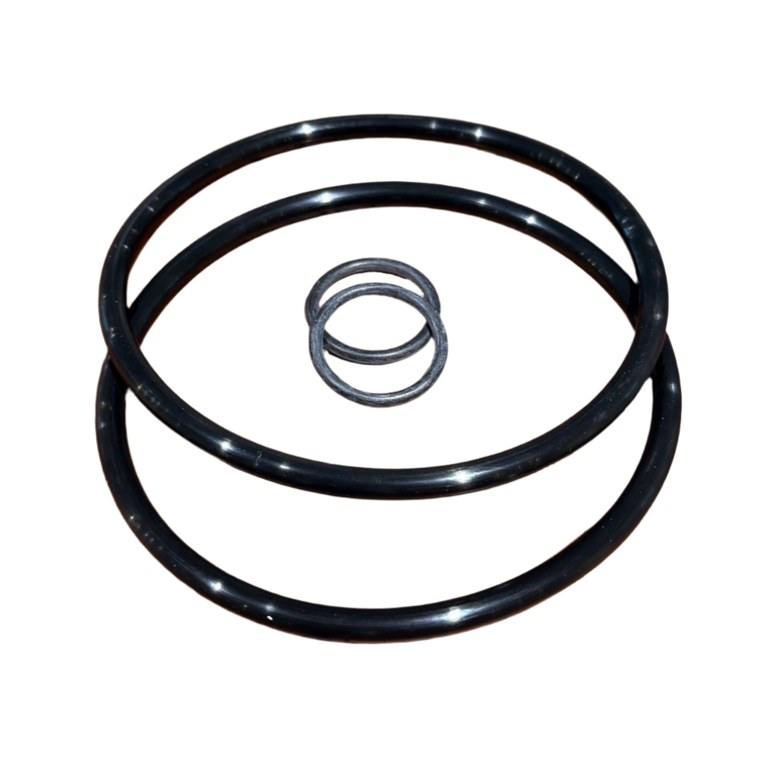 Spot Zero O-Rings 4'' for 4041 Membrane Kit [252404525] – Sportfish ...